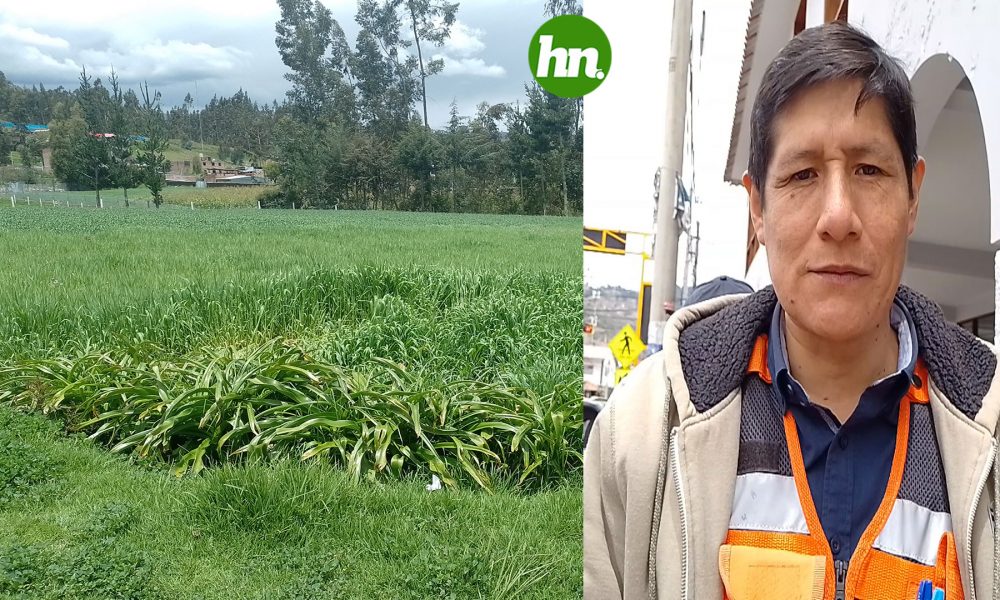 Independencia: Preocupados por construcciones ilegales en zonas de riesgo